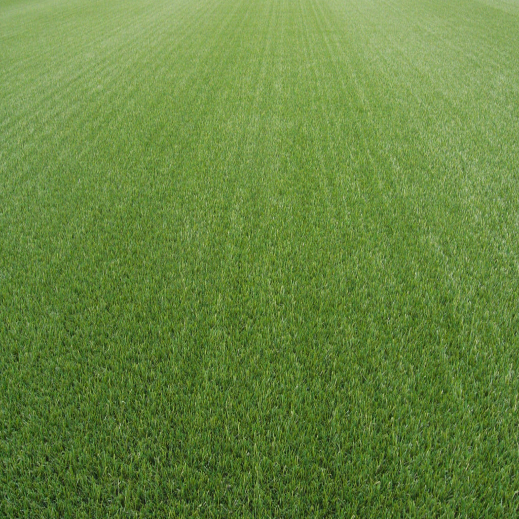 Artificial Turf Overstock - 2.25 Inch XM Monofilament Turf - 45 oz ...